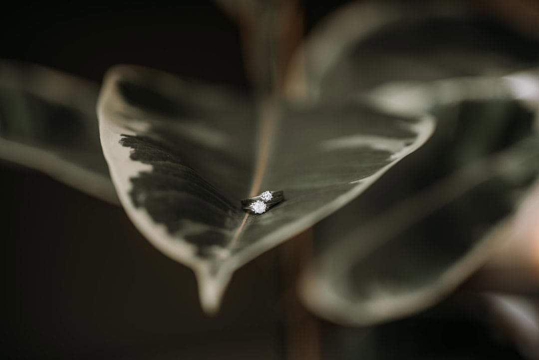 Ringe für Verlobung und Hochzeit: Formale Eleganz